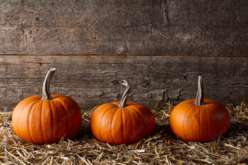 Orange Halloween pumpkins in dark old barn, space for texting Stock ...
