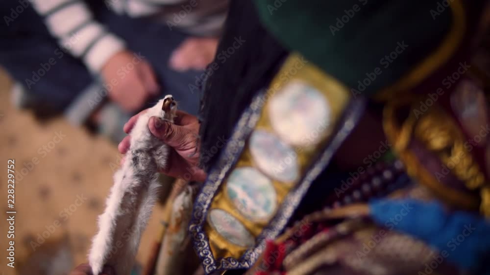 Mongolian Shaman performing a blessing, praying or offering, during a ...