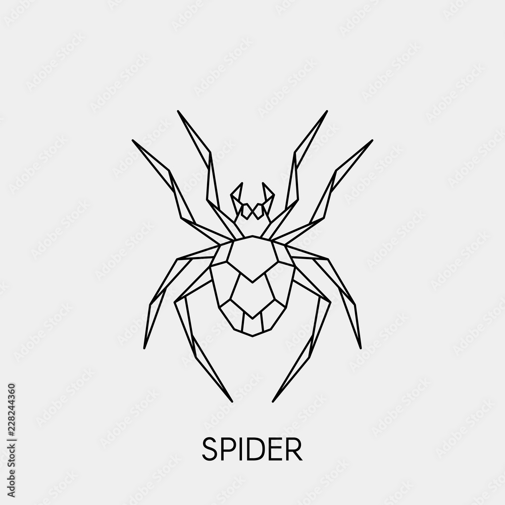Geometric spider. Polygonal linear abstract insect. Vector illustration ...