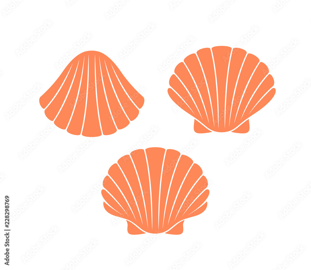 Scallop logo. Isolated scallop on white background Stock Vector | Adobe ...