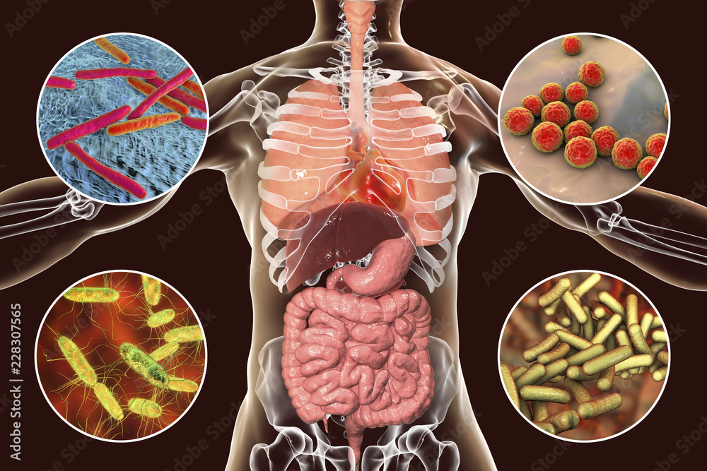 Enterococcus Faecalis Infection