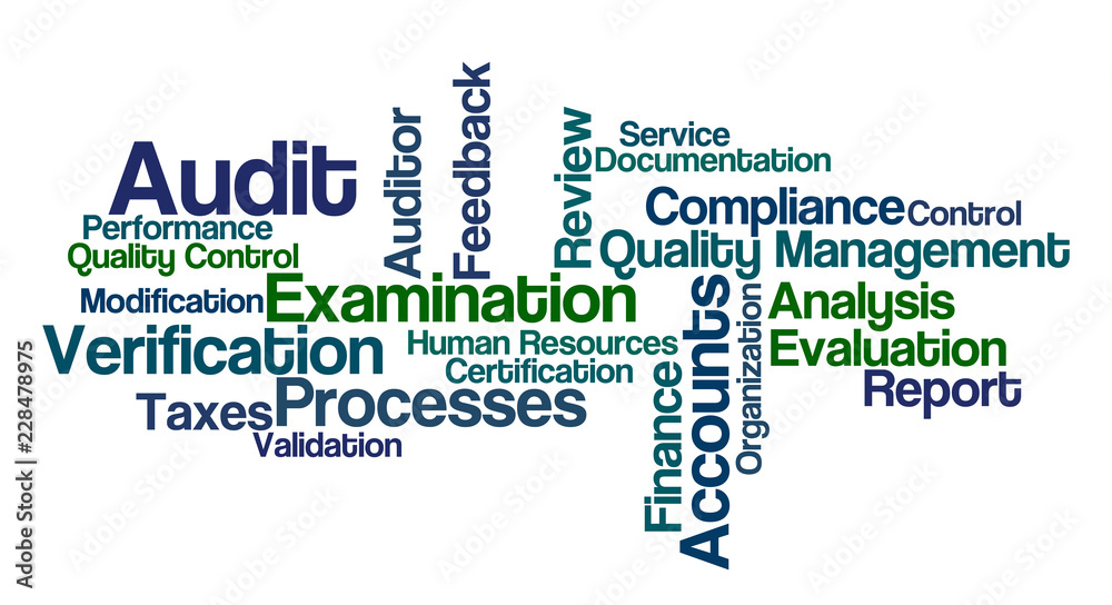Word Cloud - Audit Stock-Illustration | Adobe Stock