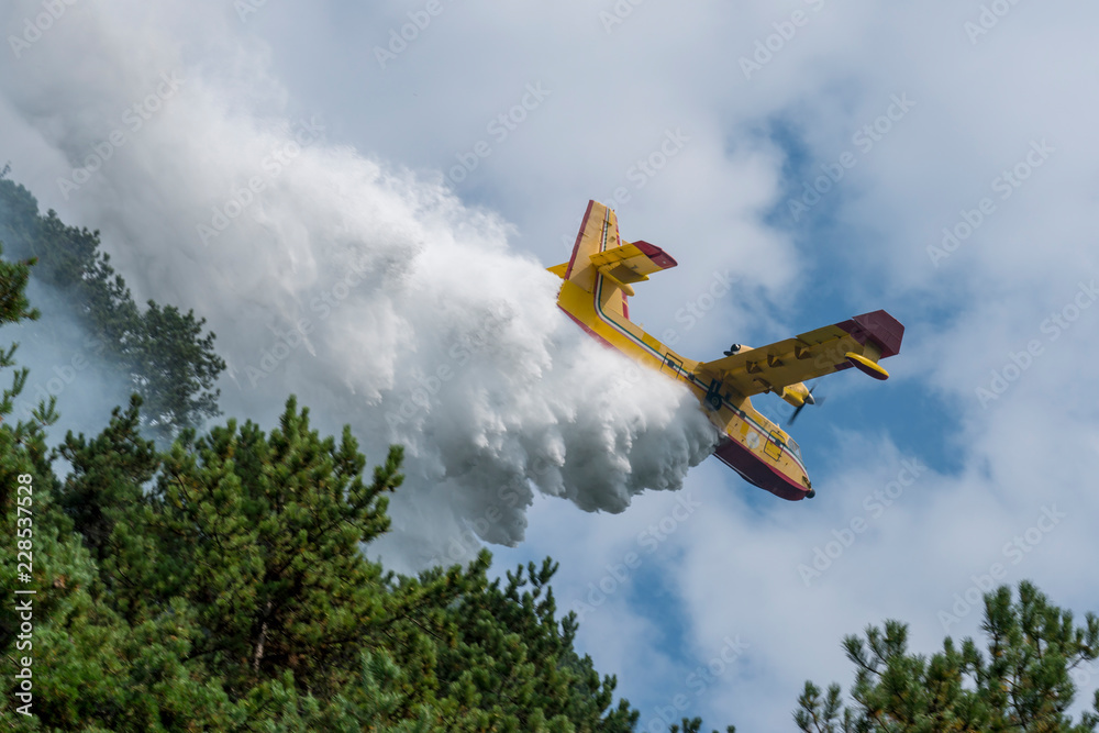 Water bomber aircraft Canadair. A yellow airplane of the Fire Brigade ...