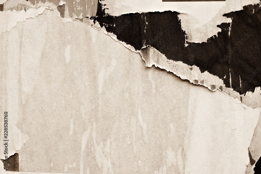 Ripped Old Blank Paper