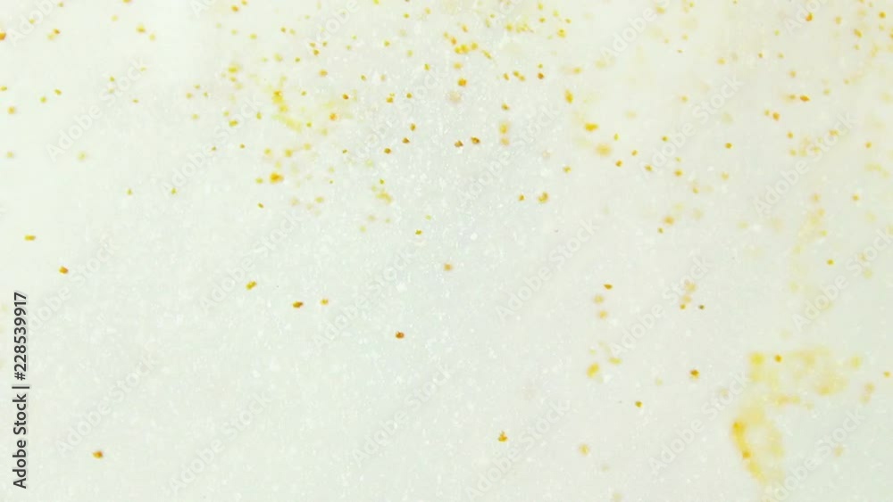 Floating yellow dust particles - abstract animation with clear ...