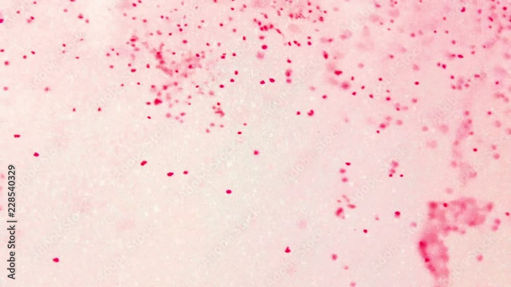 Floating pink particles - abstract animation on a clear nebulous ...