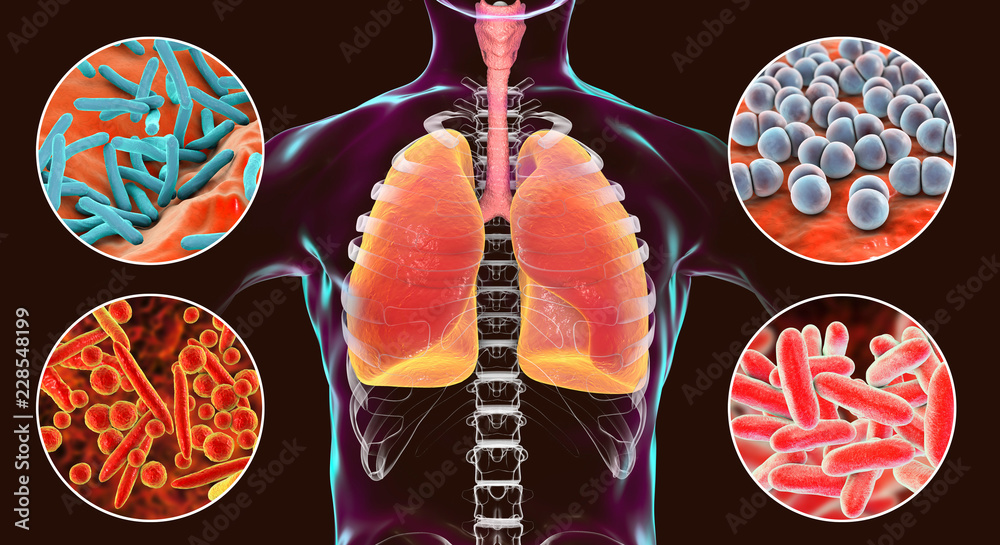 Human respiratory pathogens, 3D illustration. Mycobacterium ...