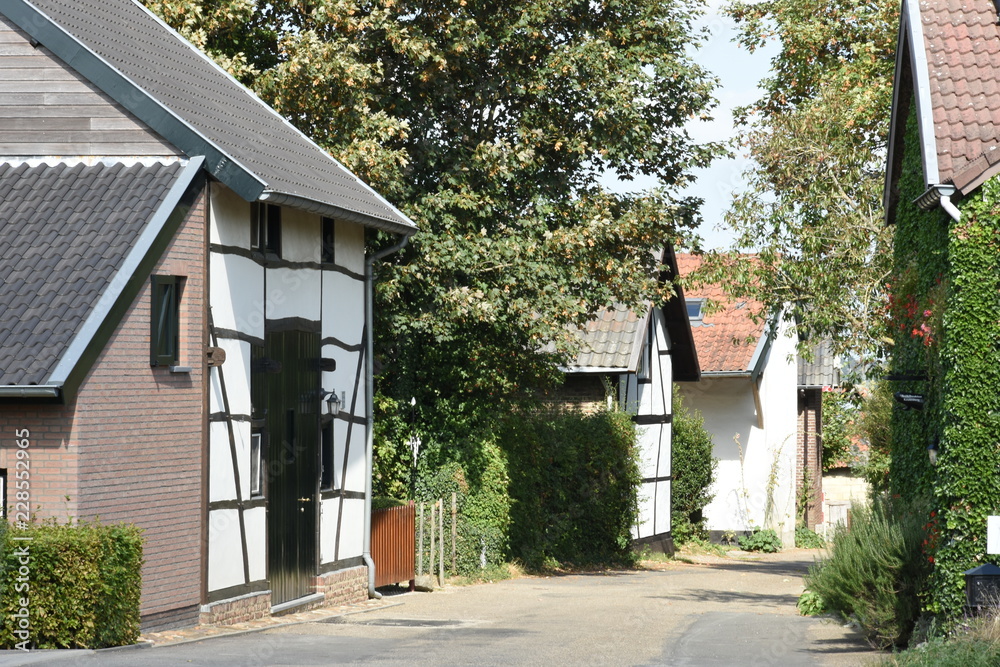 streekeigen, witte huizen en vakwerkhuizen in een dorpje in Zuid ...