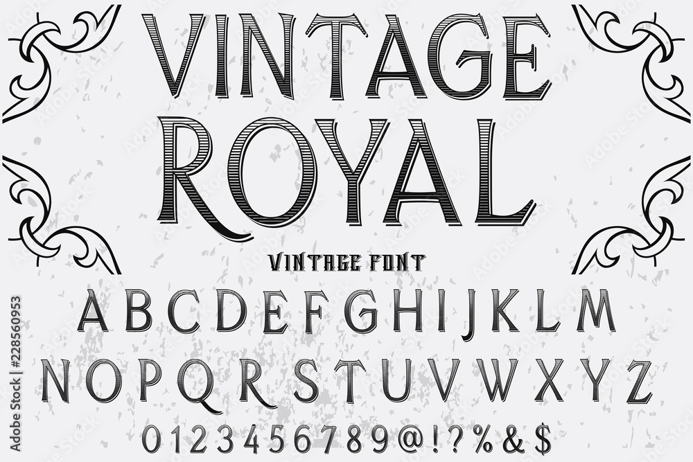 Vintage Font handcrafted vector Font.Alphabet.Script.Typeface.Label ...