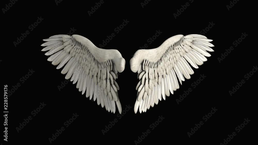 wings flap, loop, animation, transparent background Stock Video | Adobe ...