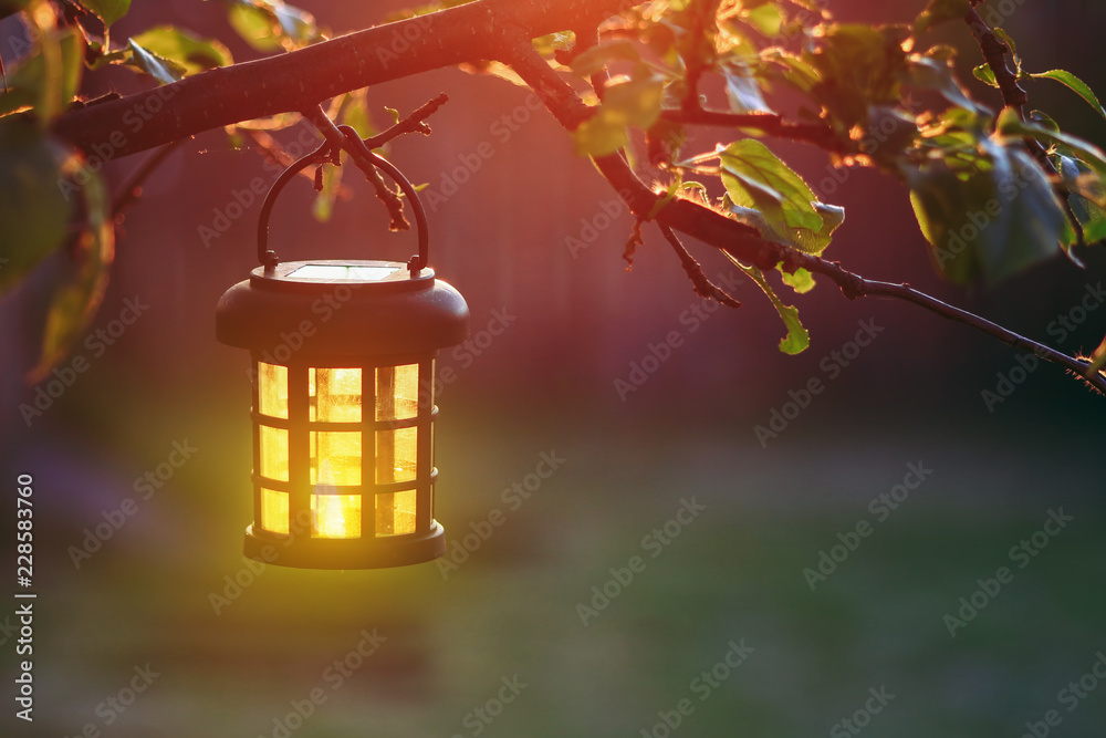 Burning lantern hanging from a tree branch in the sunset Stock Photo ...