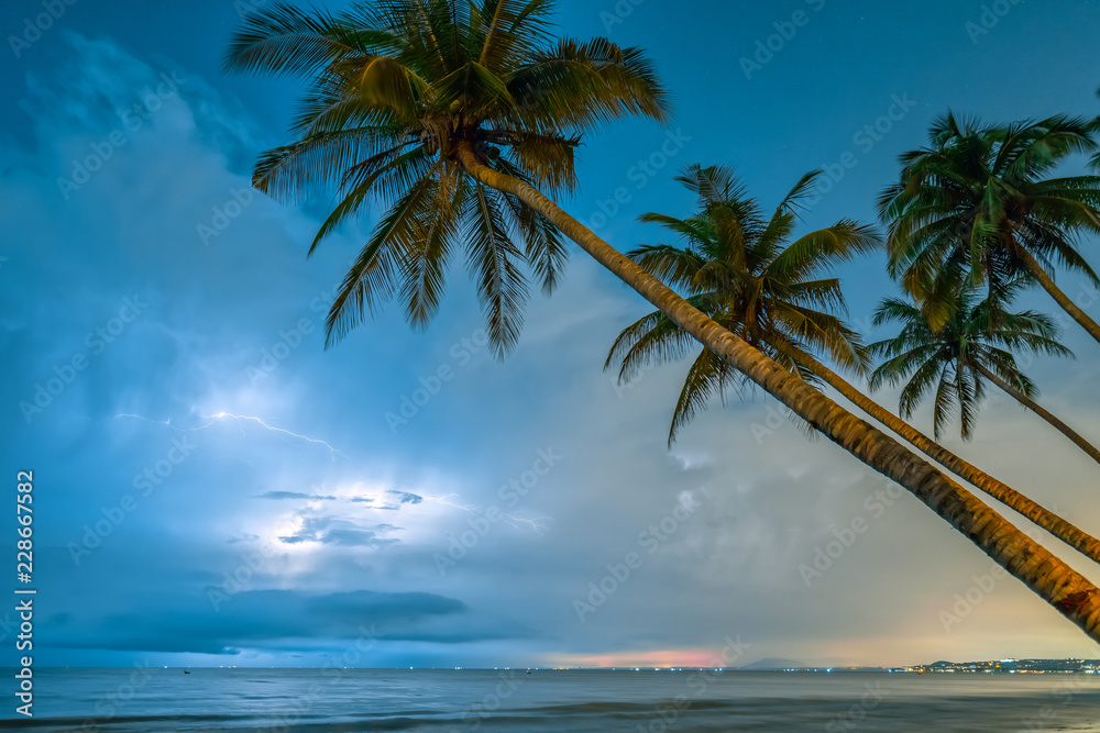 Inclined coconut trees leaning toward the tropical beach on a summer ...