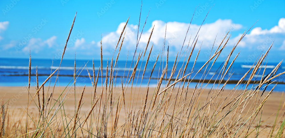 PANORÁMICA DE UNA COSTA. MARÍTIMO Stock Photo | Adobe Stock