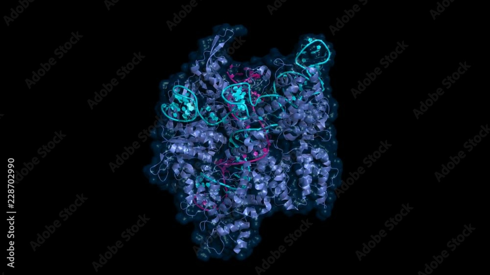 CRISPR/Cas9 genome editing/engineering system. Rotating cartoon protein ...