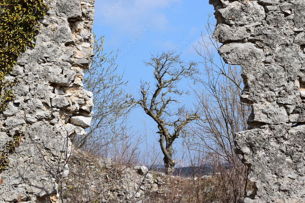 Kalec Castle (Grad Kalec; Kalc, Kauc) is a partially ruined castle in ...