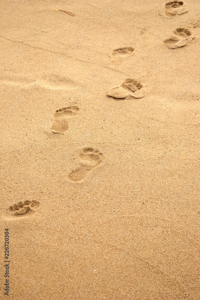 Summer sea, diagonal line of human footprints on the shoreline ...