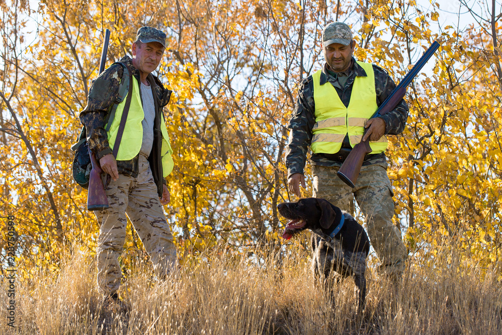 Hunters with a german drathaar and spaniel, pigeon hunting with dogs in ...