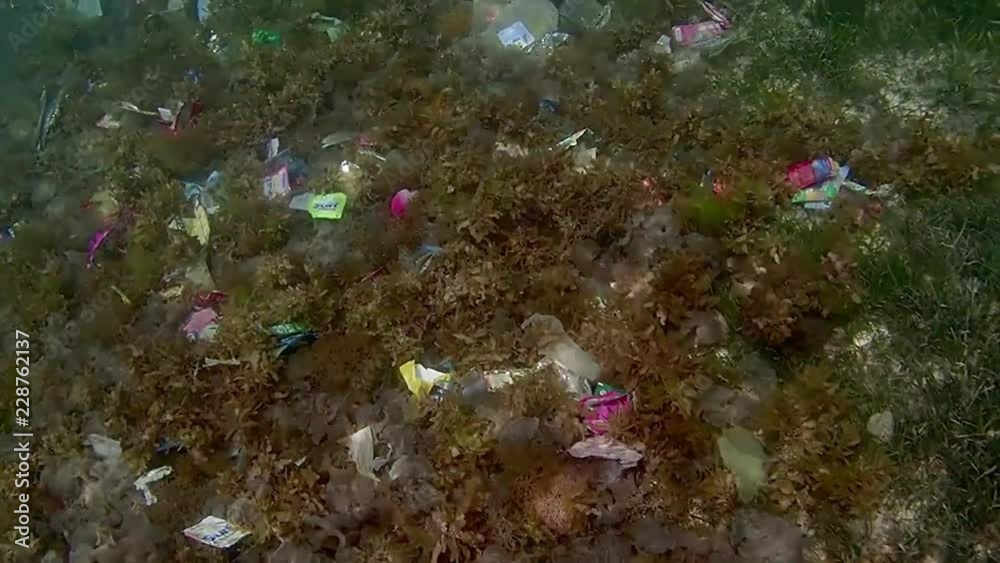 Marine pollution. Single-use plastic sachets and other debris floating ...