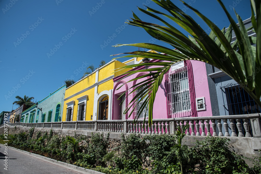 calles coloridas ciudad mazatlan mexico Stock Photo | Adobe Stock