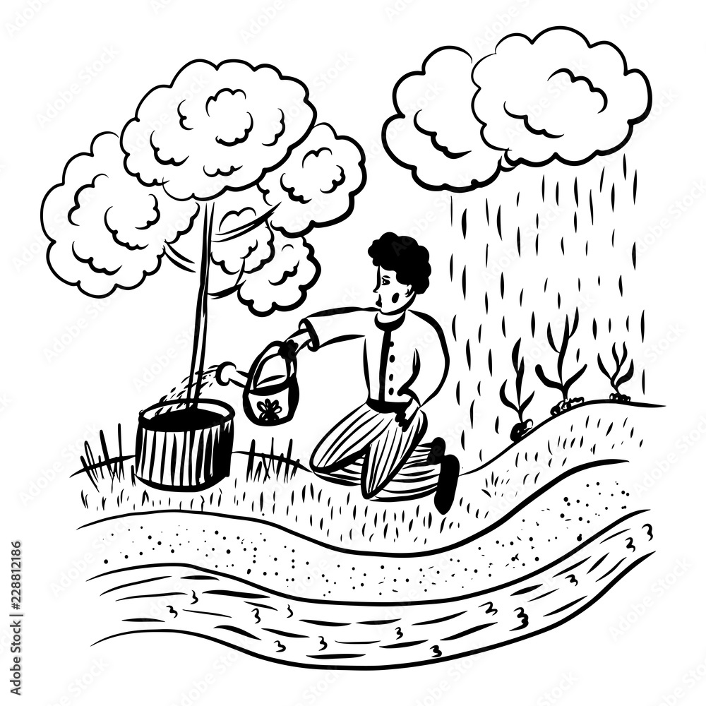 picture drawing, a man kneeling in a garden, watering a tree in a tub ...