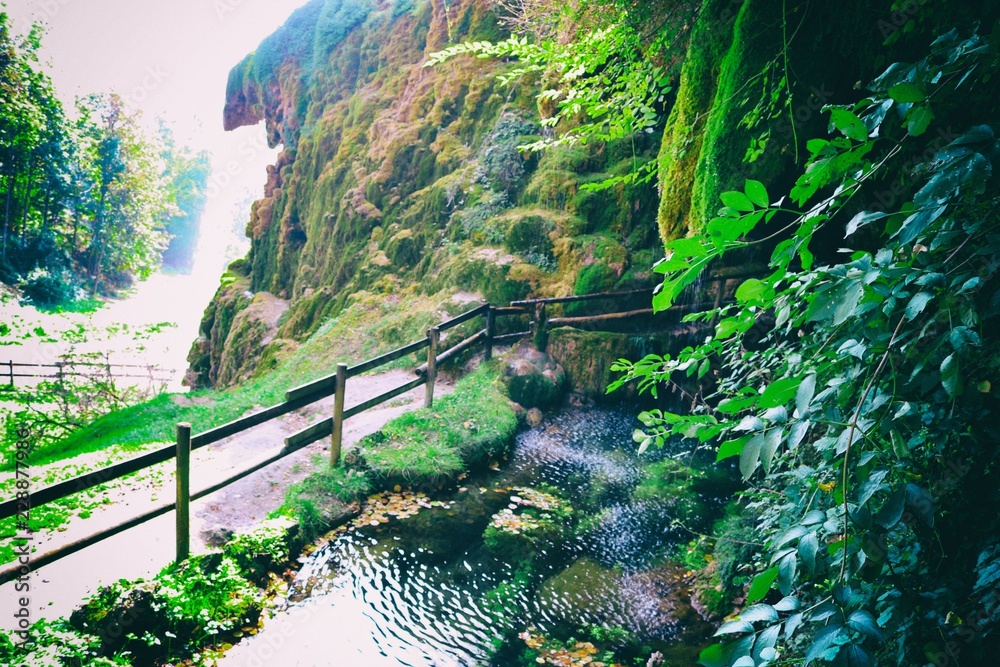 fenomeni carsici alle grotte di Labante, nell?Appennino emiliano Stock ...