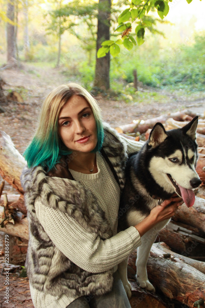 Siberian Husky are walking in the autumn forest with their mistress ...