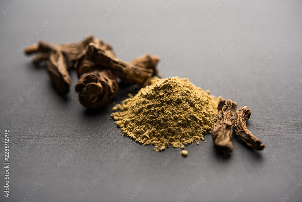 Hemidesmus indicus also known as Ananthamoola or Naruneendi or Nannari ...