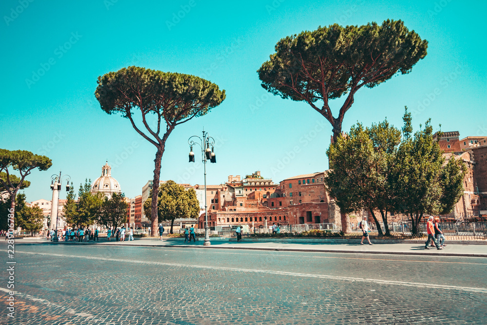 Photo & Art Print A typical landscape of Rome with tall trees and ...
