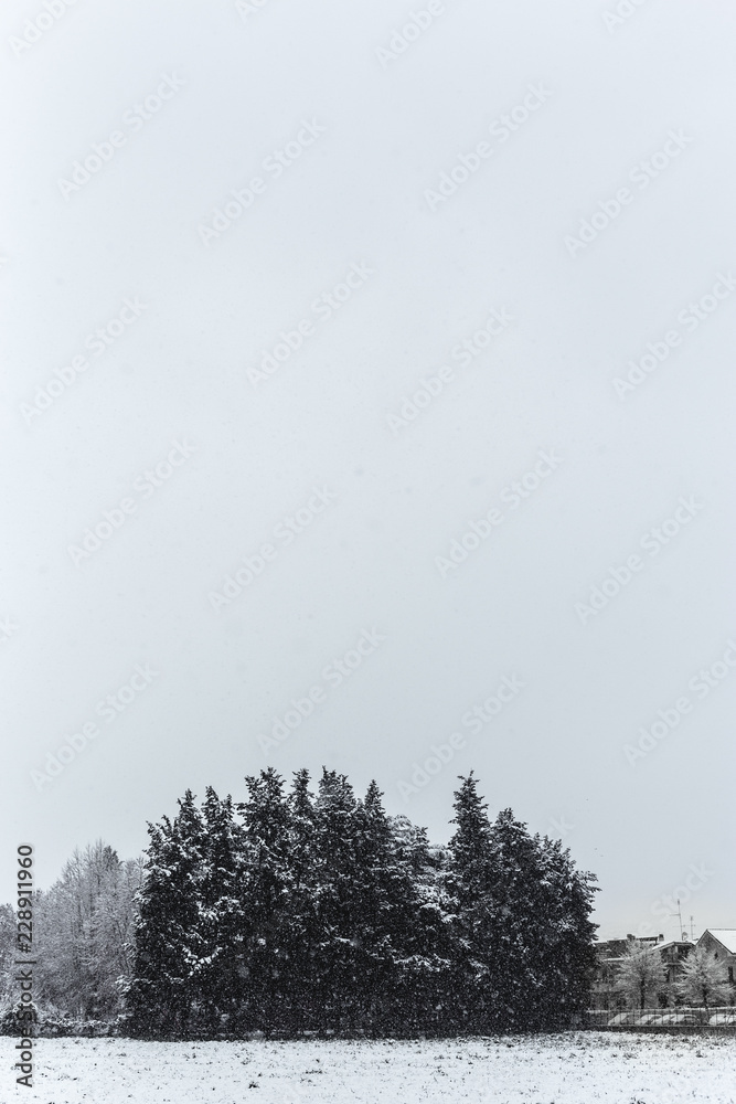 Poster Neve – Wall Art | UkPosters