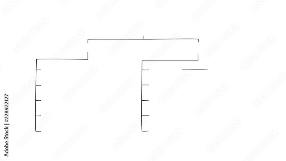 Animated sketch vector doodle of animal classification chart drawn in ...