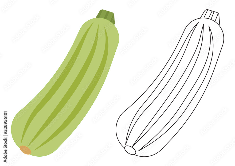 Zucchini Coloring Page