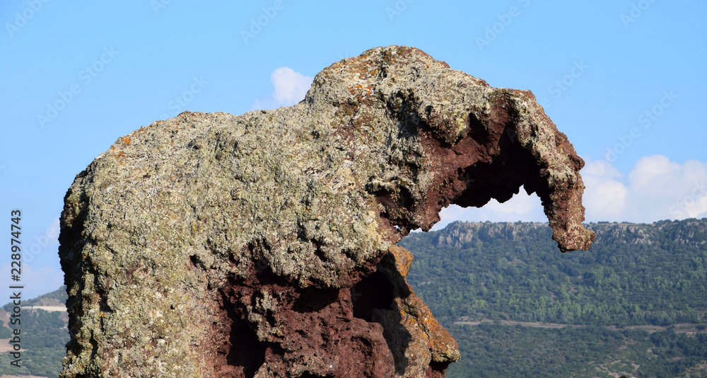 marco shot of the elephant rock without people, the elephant rock ist a ...