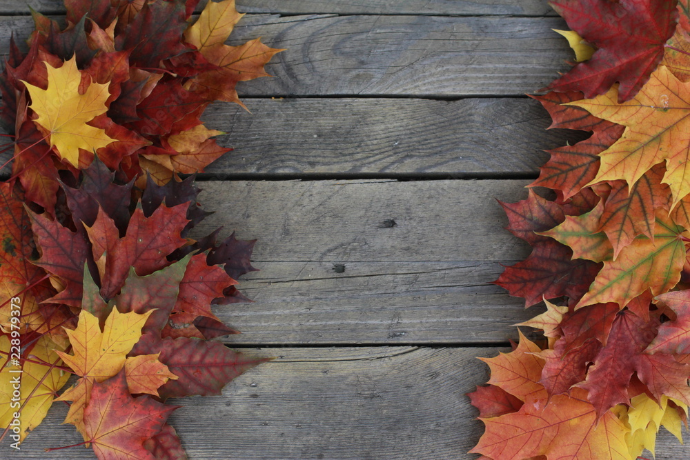 Fall Leaves on wooden desk. Autumn background concept. Maple, red ...