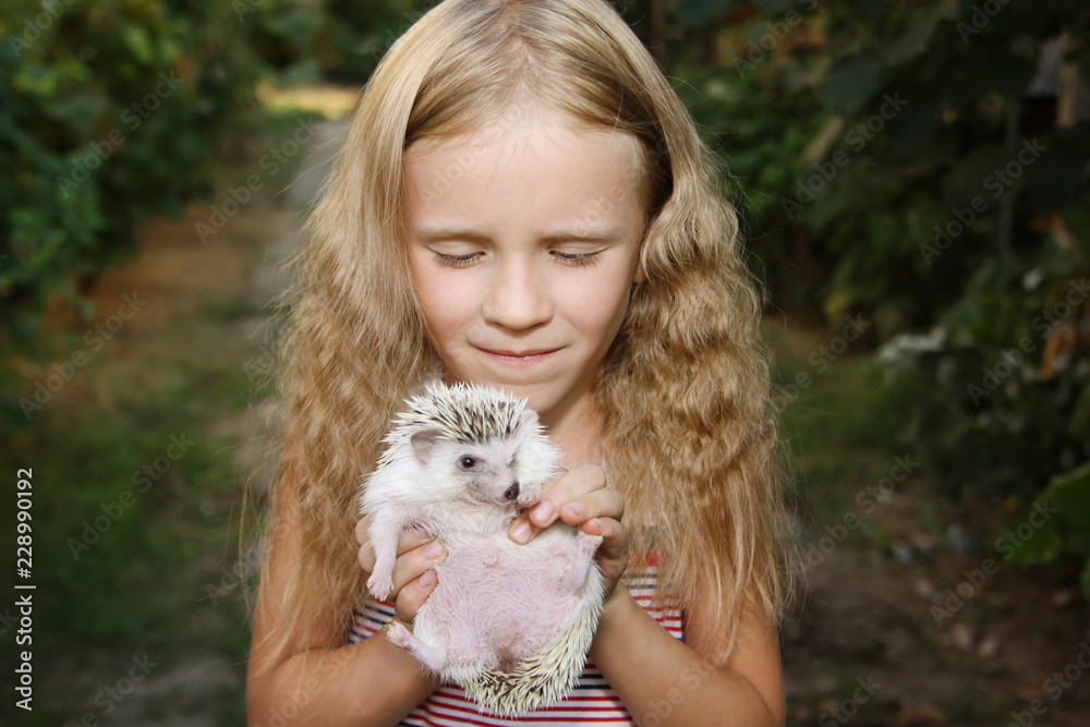 little girl with her pet African pygmy hedgehog Stock Photo | Adobe Stock