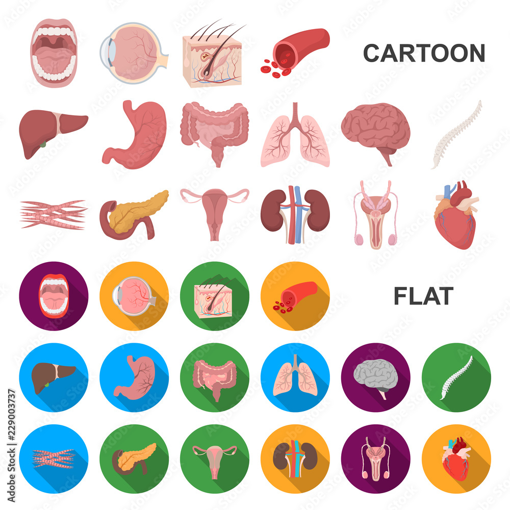 Internal Organs Of A Human Cartoon Icons In Set Collection For Design internal-organs-of-a-human-cartoon-icons-in-set-collection-for-design