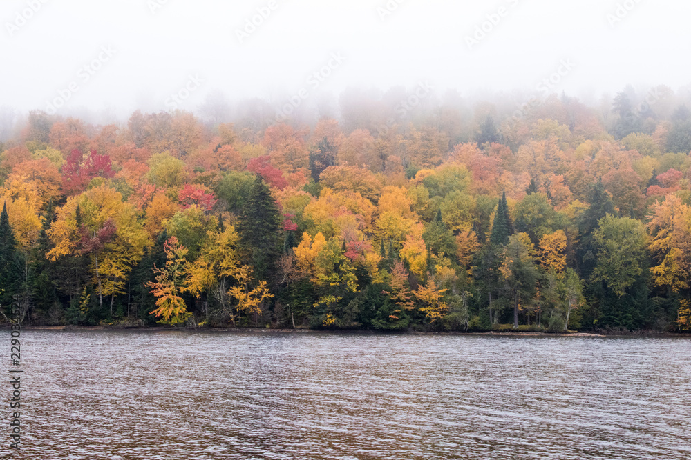 A view of the brilliant and eclectic colors that take over the entire ...