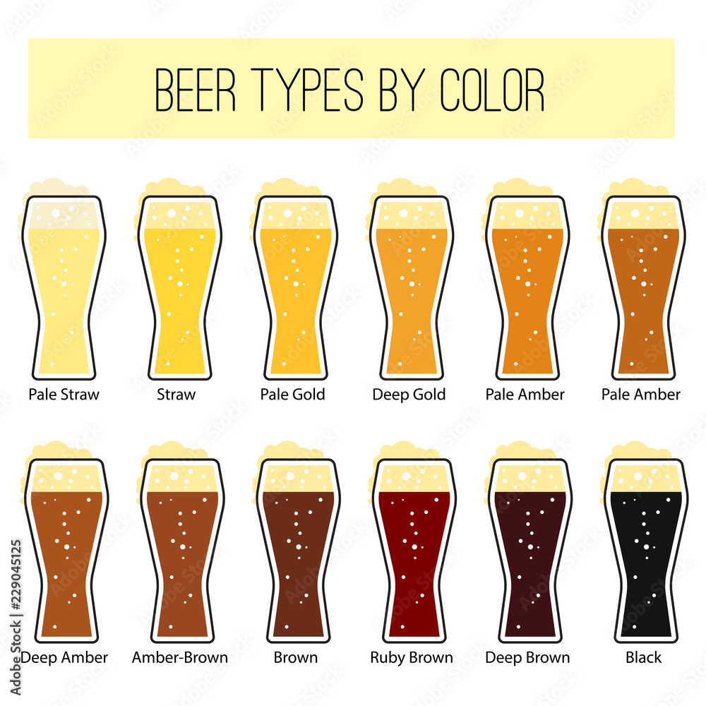 Infographic about beer types of color. Beer menu set. Vector ...