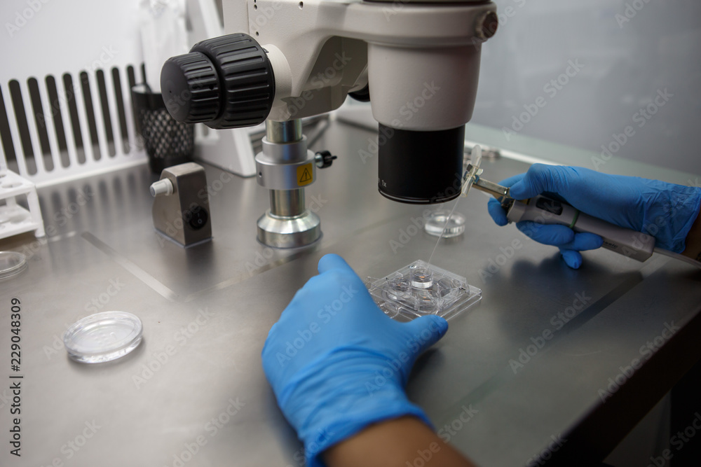 The process of artificial insemination in IVF clinic. Hands doctor in ...