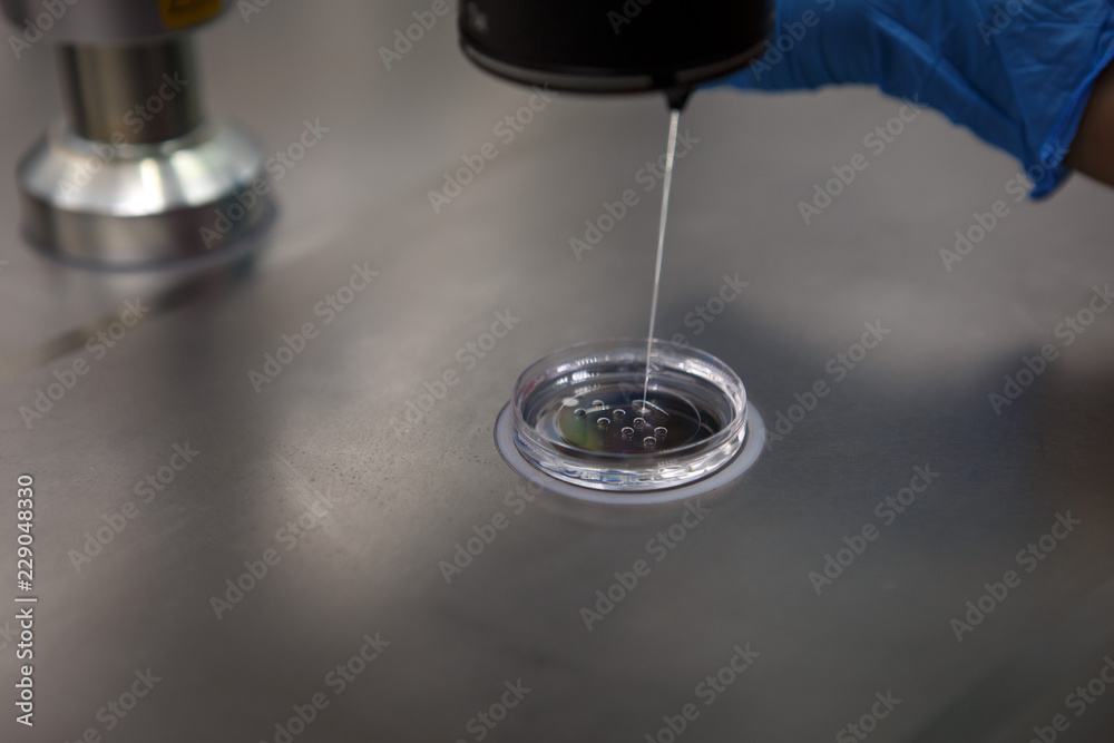 The Process Of Artificial Insemination In Ivf Clinic Hands Doctor In Blue Rubber Gloves Produce