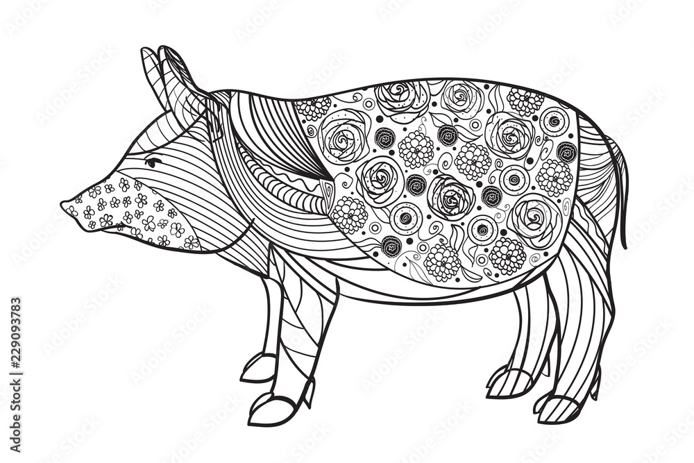 Pig on white. Zen art. Zentangle. Hand drawn animal with intricate ...