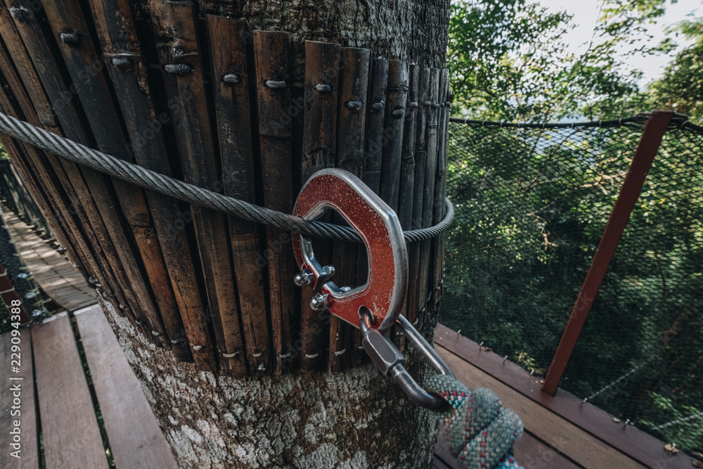 the safety lock in canopy walk (tree top walk, Zipline), new activity ...