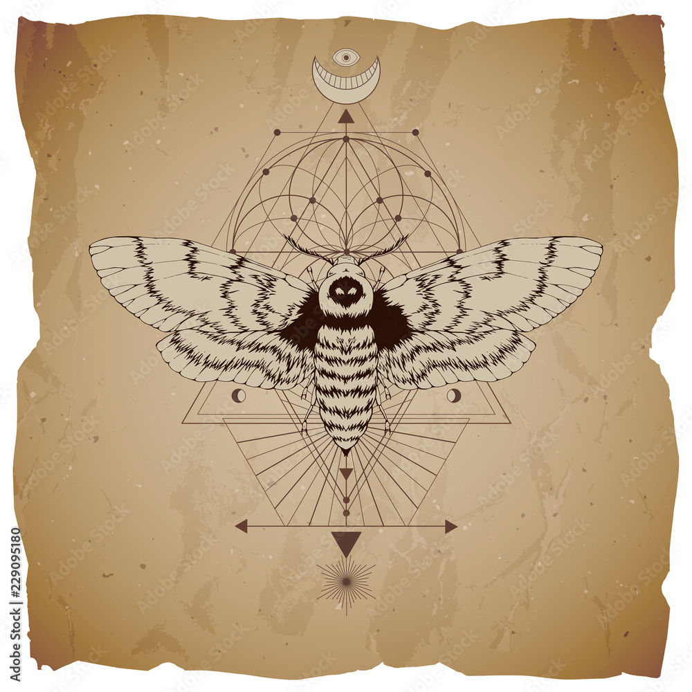 Vector illustration with hand drawn dead head moth and Sacred geometric ...
