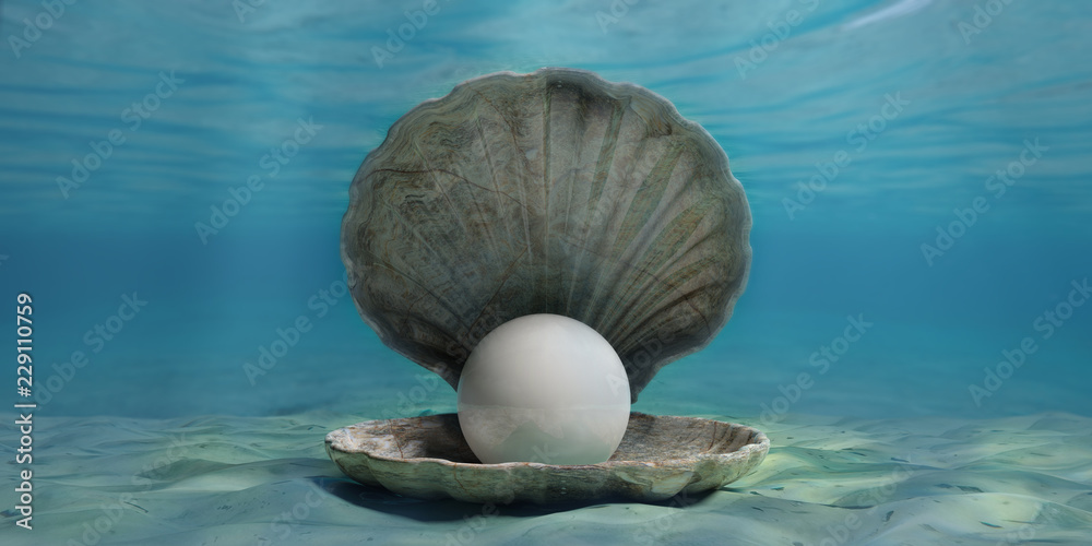Underwater Clam With Pearl