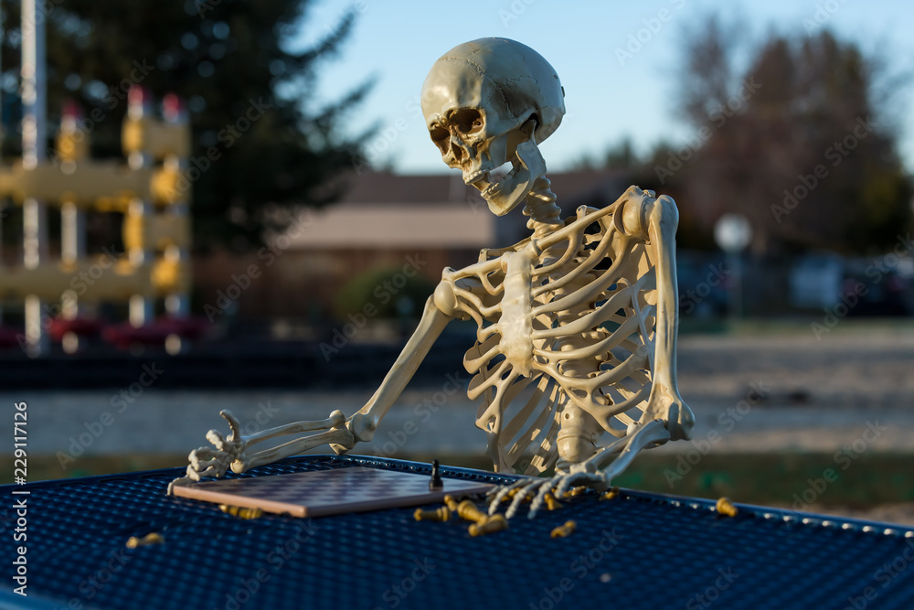 Angry skeleton scatters chess pieces after losing game Stock Photo ...
