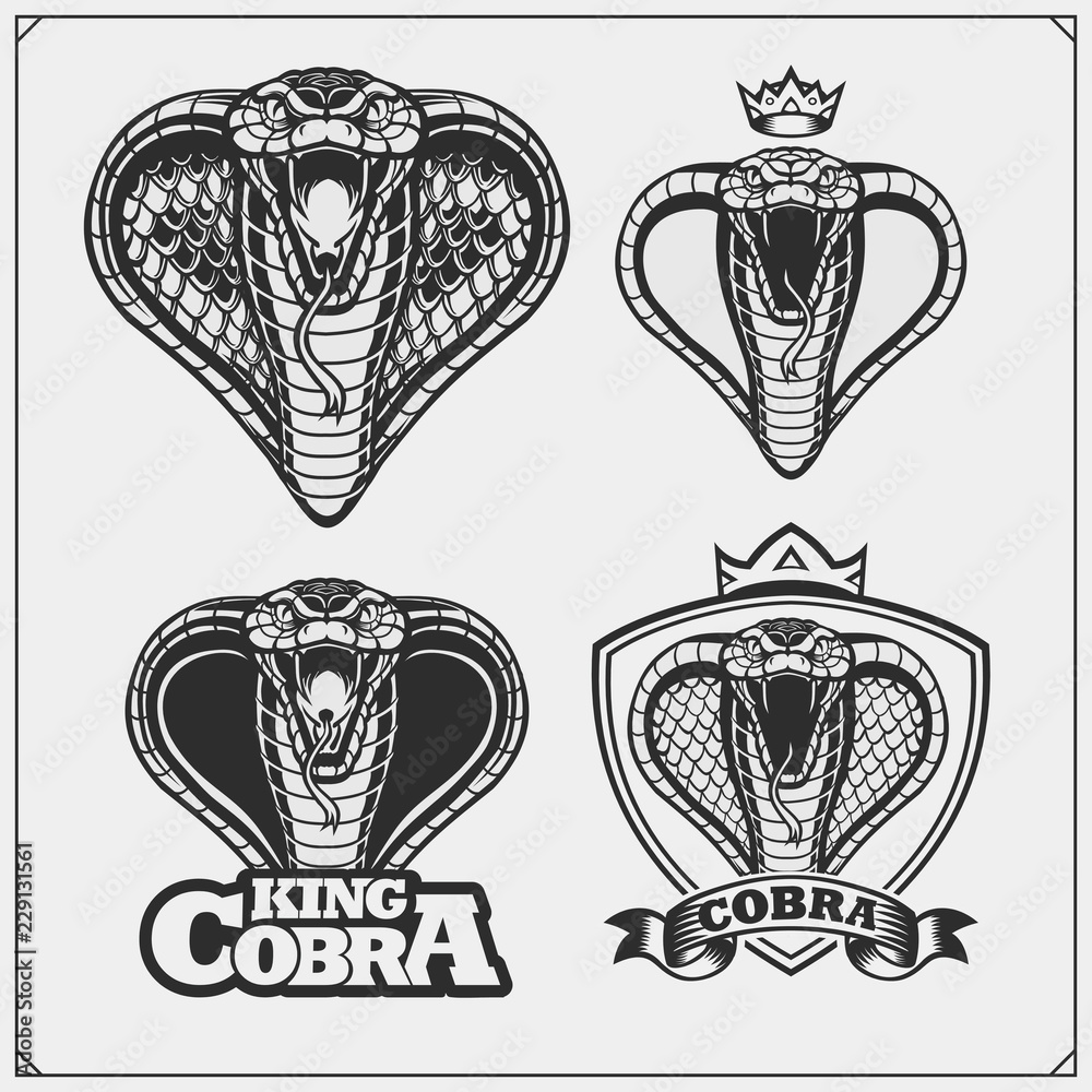 King cobra heraldry coat of arms. Labels, emblems and design elements ...