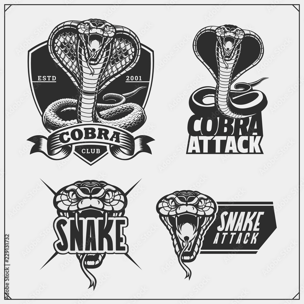 King cobra heraldry coat of arms. Labels, emblems and design elements ...