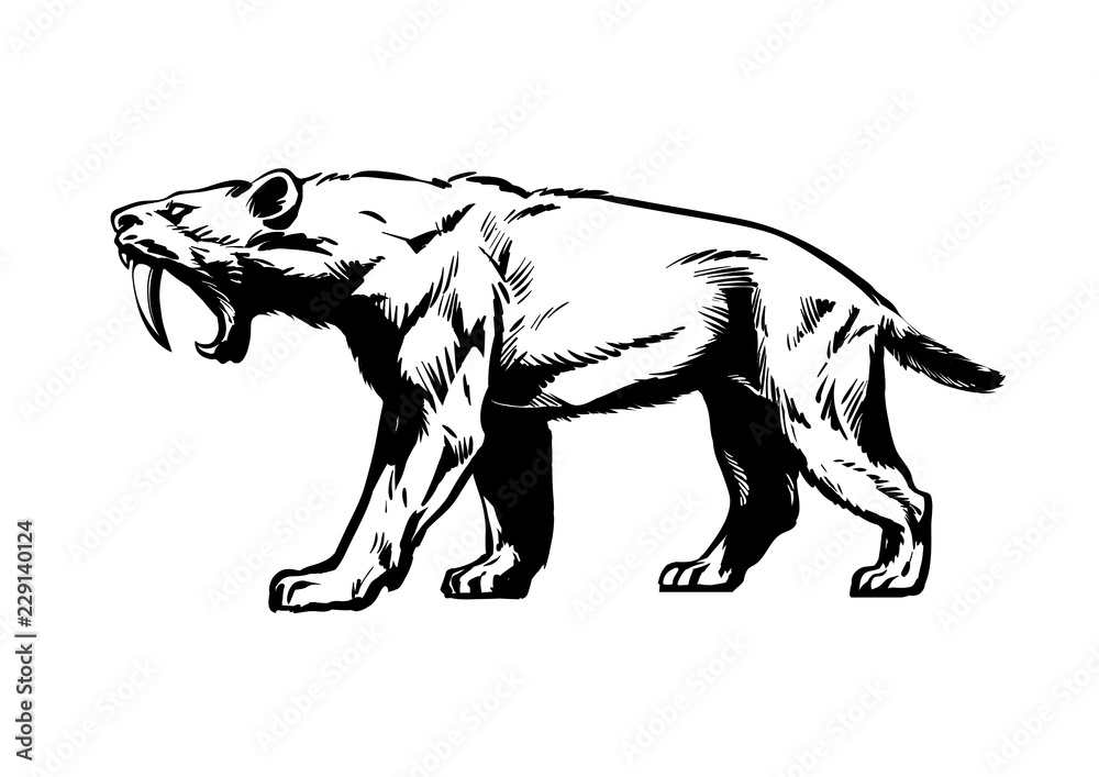 Saber Tooth Tiger Art