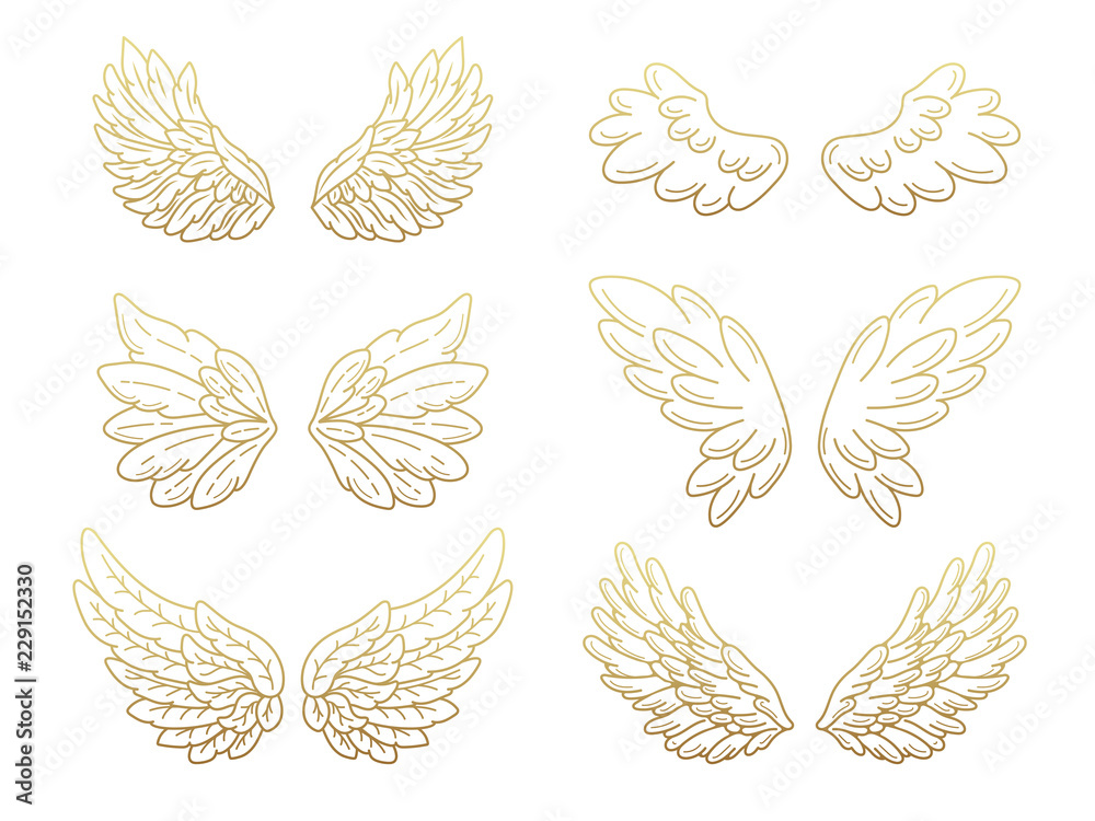 Collection of angel wings, wide open with golden metallic effect ...