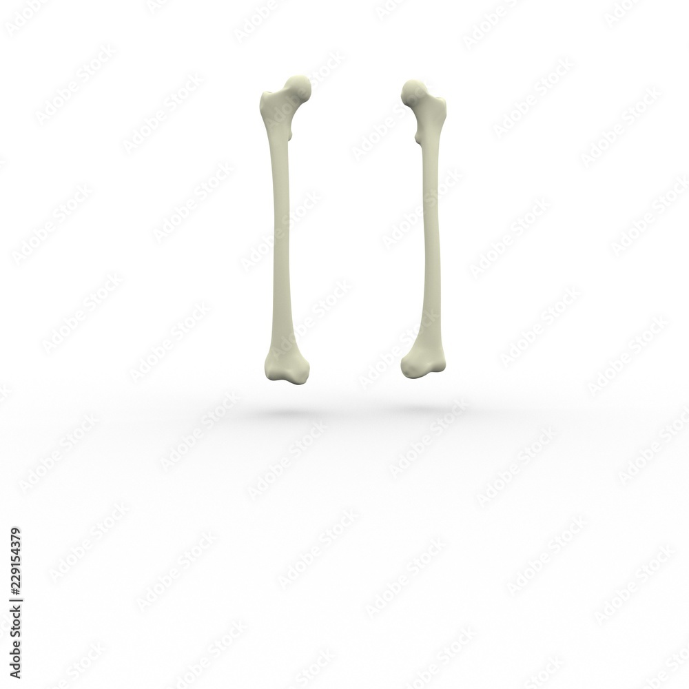 3d illustration of human body skeletal femur Stock Illustration | Adobe ...