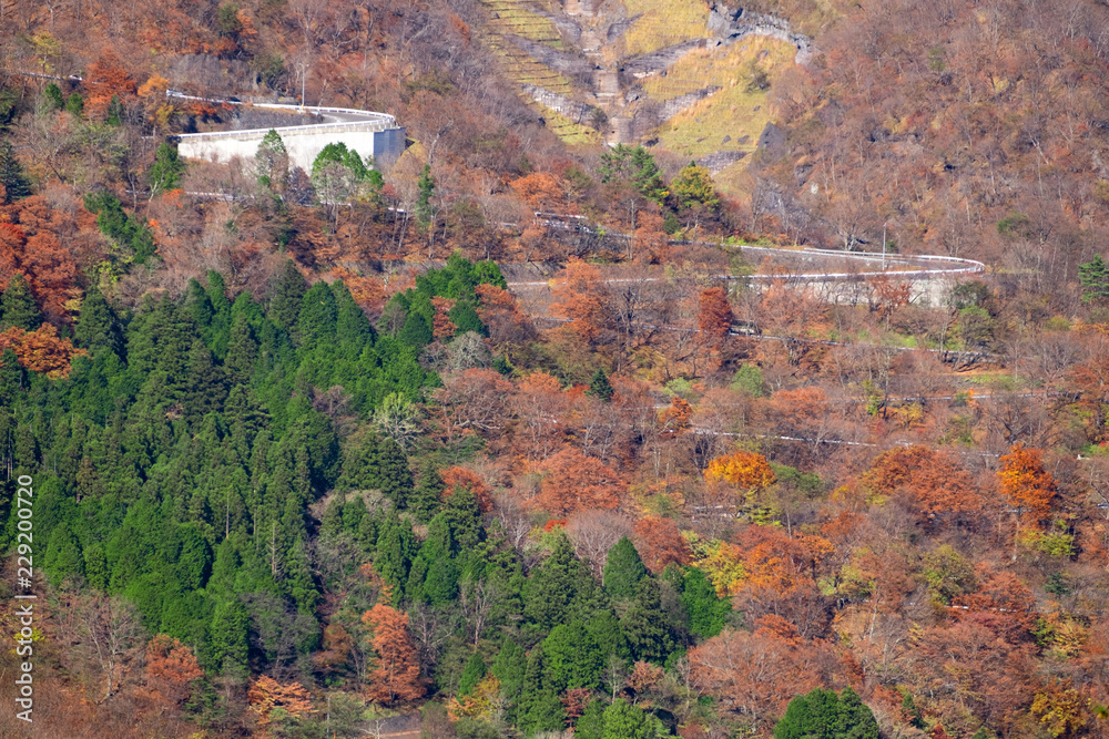 Irohazaka Winding Road in Nikko, Japan Autumn season. foto de Stock ...